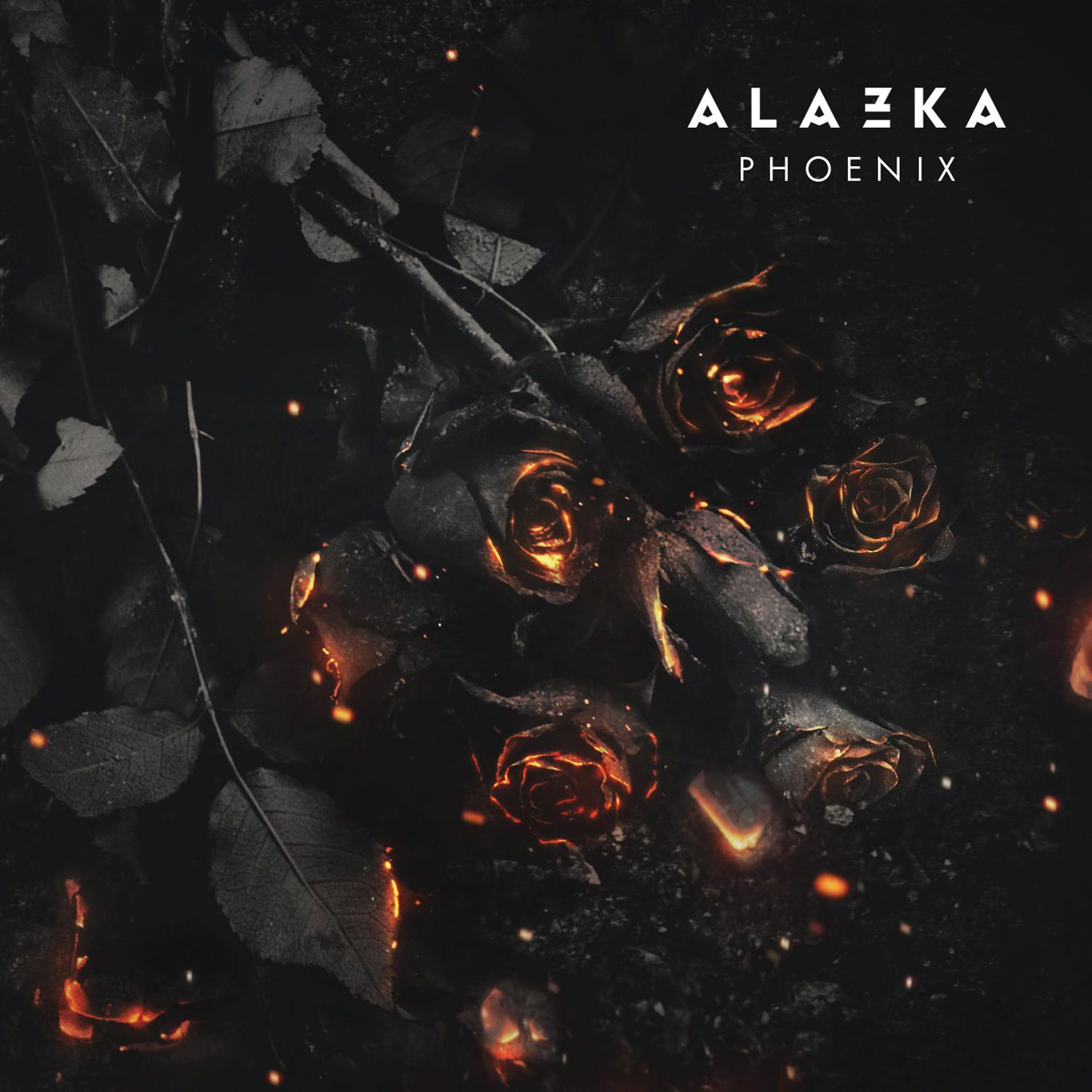 Kritik zu Alazka PHOENIX