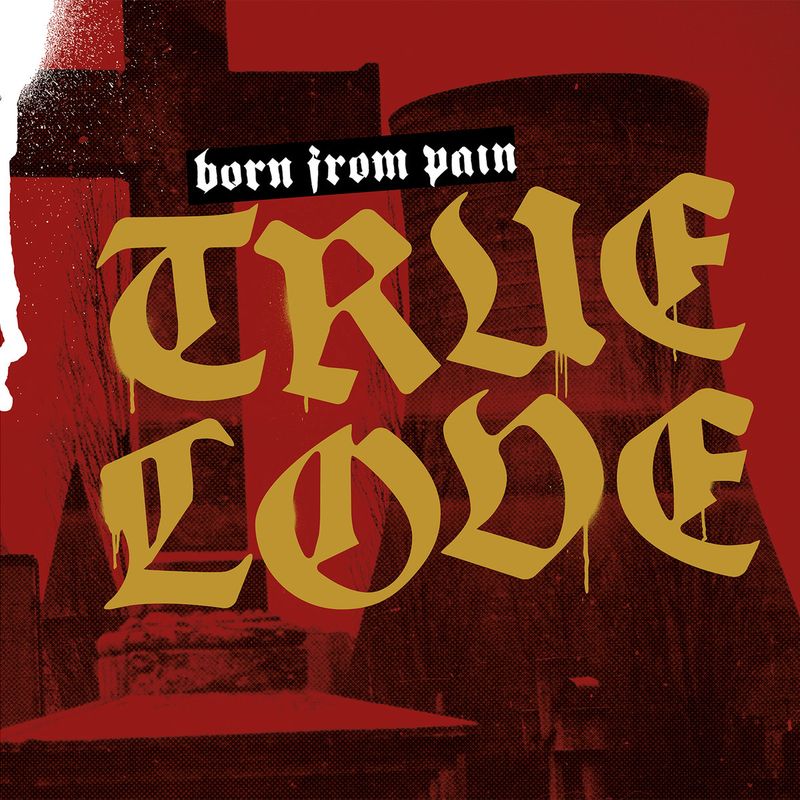 Kritik zu Born From Pain TRUE LOVE