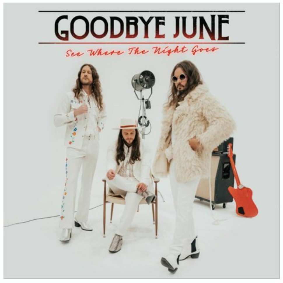 Kritik zu Goodbye June SEE WHERE THE NIGHT GOES