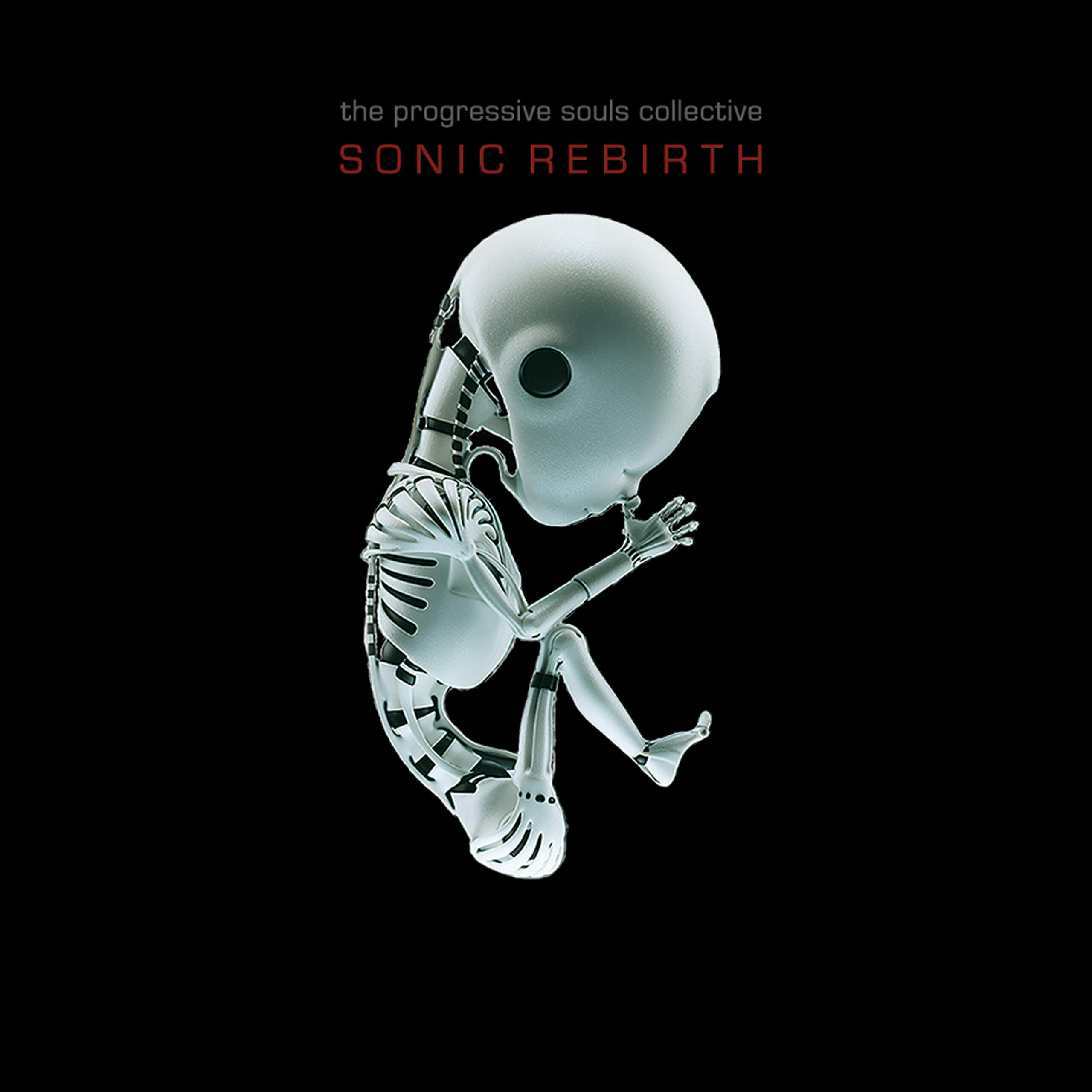 Kritik zu The Progressive Souls Collective SONIC REBIRTH